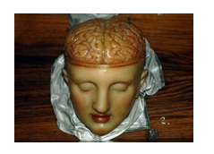 Josephinum bei der „Langen Nacht der Museen“ | VAN SWIETEN BLOG – Infos ...